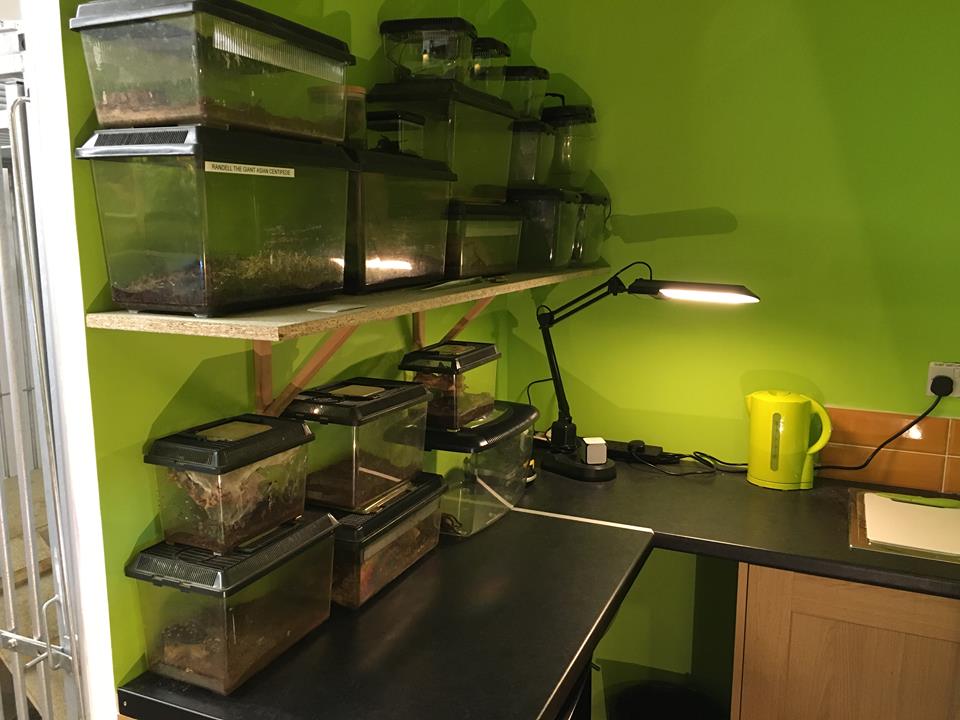 Critter Cabin – The Critter Keeper